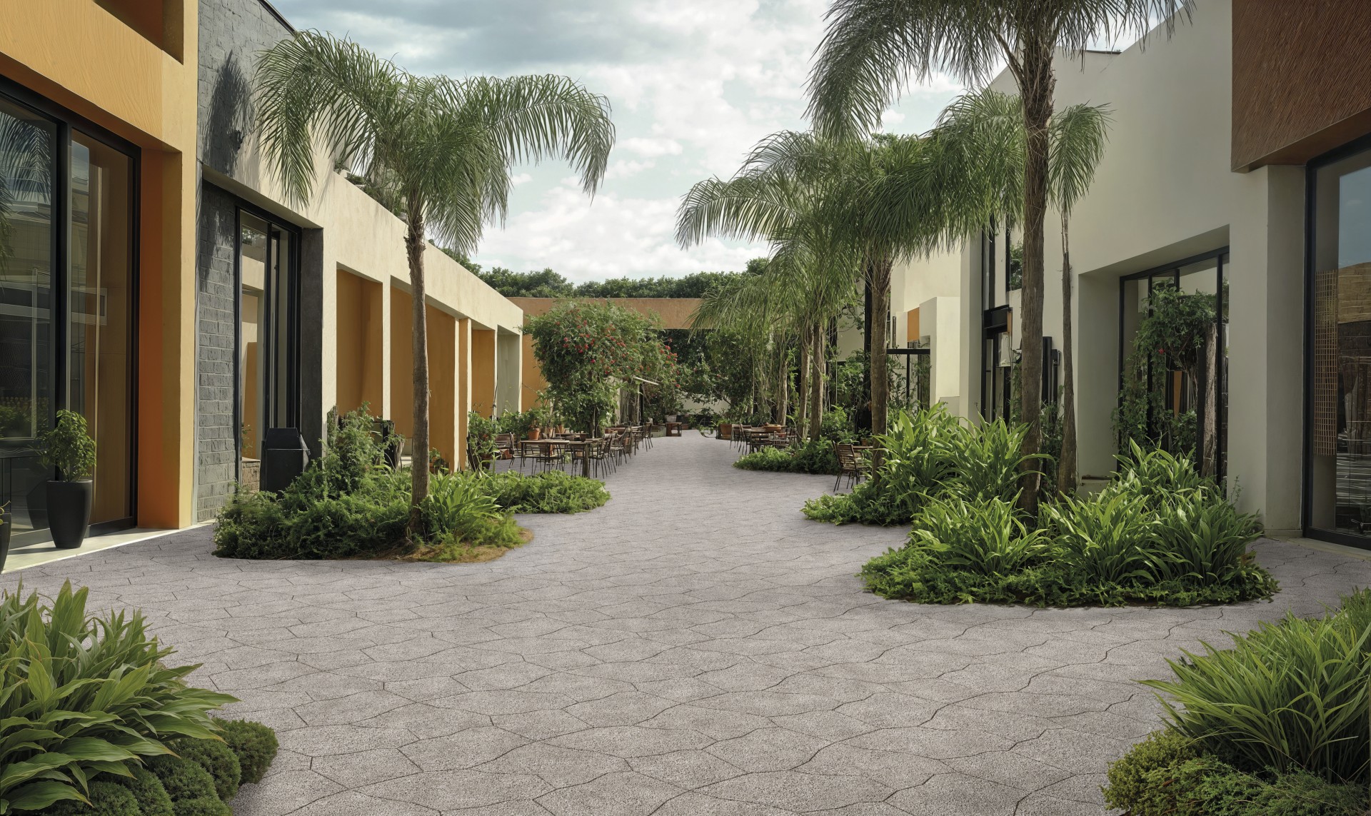 Ekko Plus Organic - Castelatto